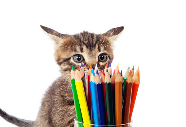 Matthew Devaney - Page 19 of 22 - No Ads, No Fluff, Just Power Apps Stuff