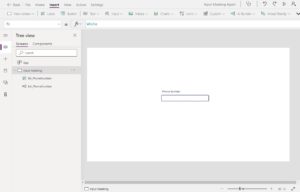 Power Apps Phone Number Formatting For Any Country (Input Mask)