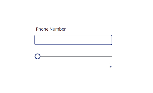 Power Apps Phone Number Formatting For Any Country (Input Mask)