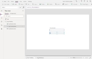 Power Apps Phone Number Formatting For Any Country (Input Mask)