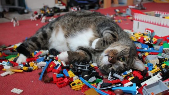 Power Apps Text Functions (With Examples) - Matthew Devaney