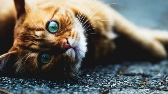 Power Apps Text Functions (With Examples) - Matthew Devaney