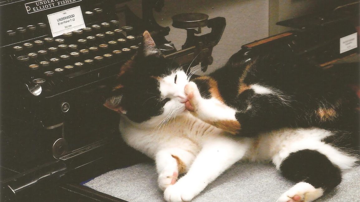 Power Apps Export To Excel As A Csv File Matthew Devaney