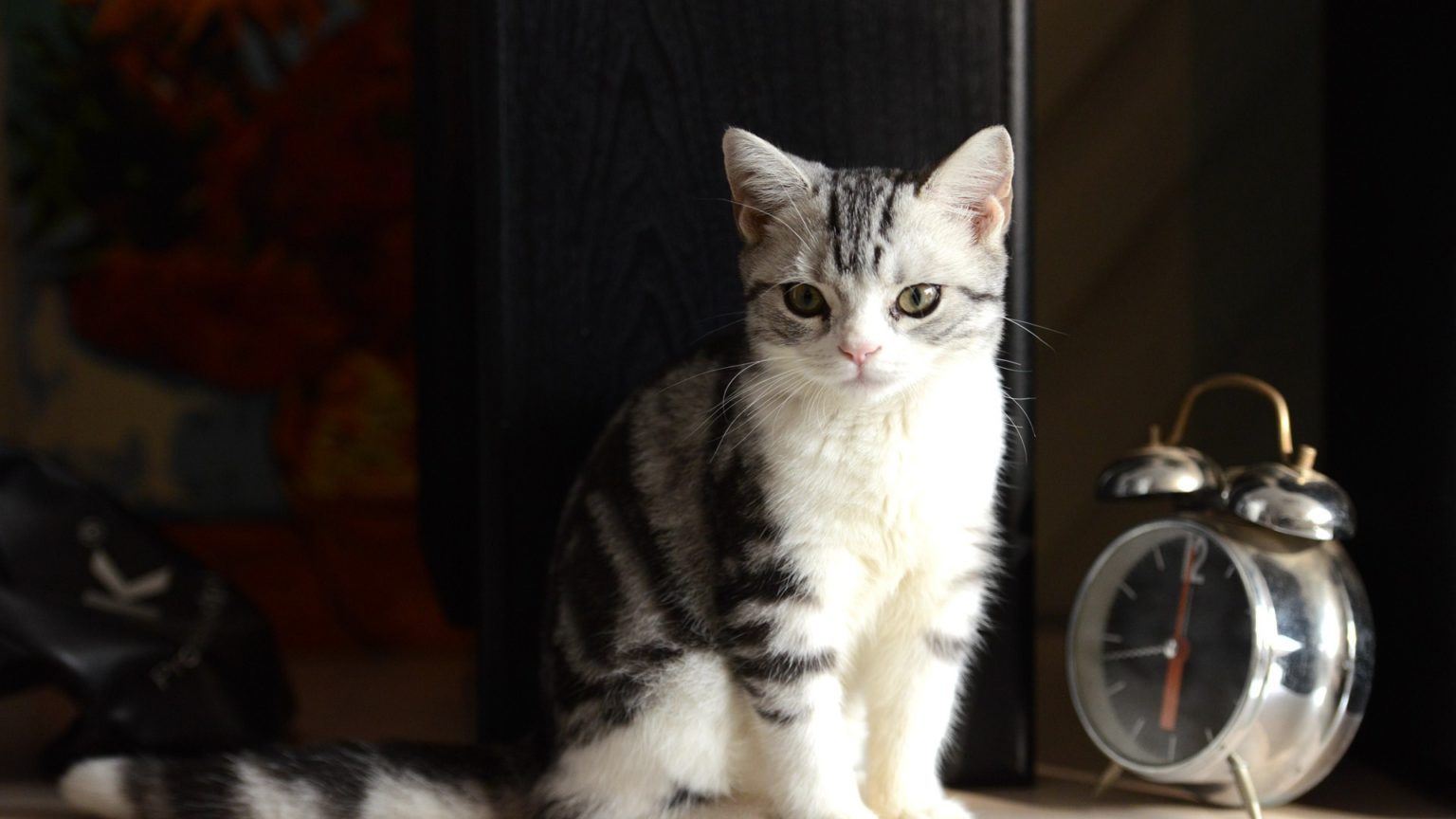 Data Validation For Power Apps Forms Matthew Devaney