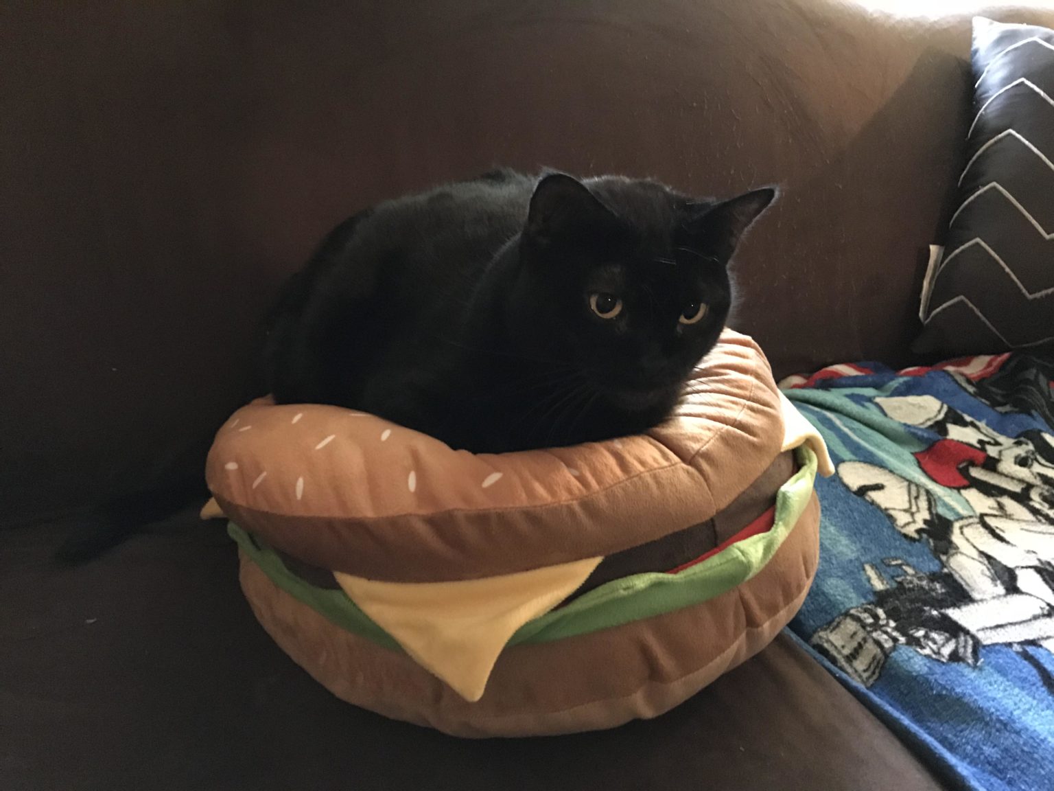 Matthew Devaney - Page 2 of 17 - No Ads, No Fluff, Just Power Apps Stuff