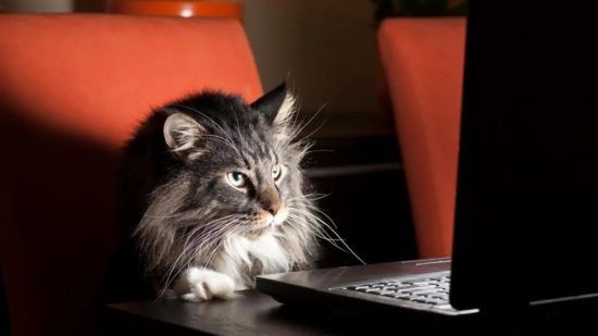 Make A Power Apps Approvals Form - Matthew Devaney