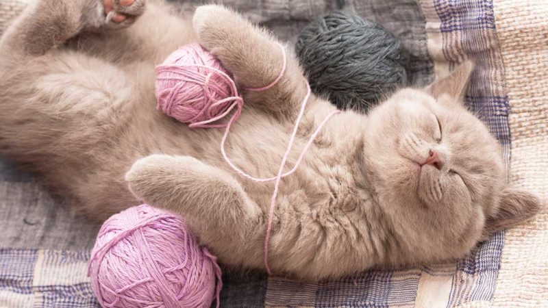 Power Automate Apply To Each Loops 20X Faster