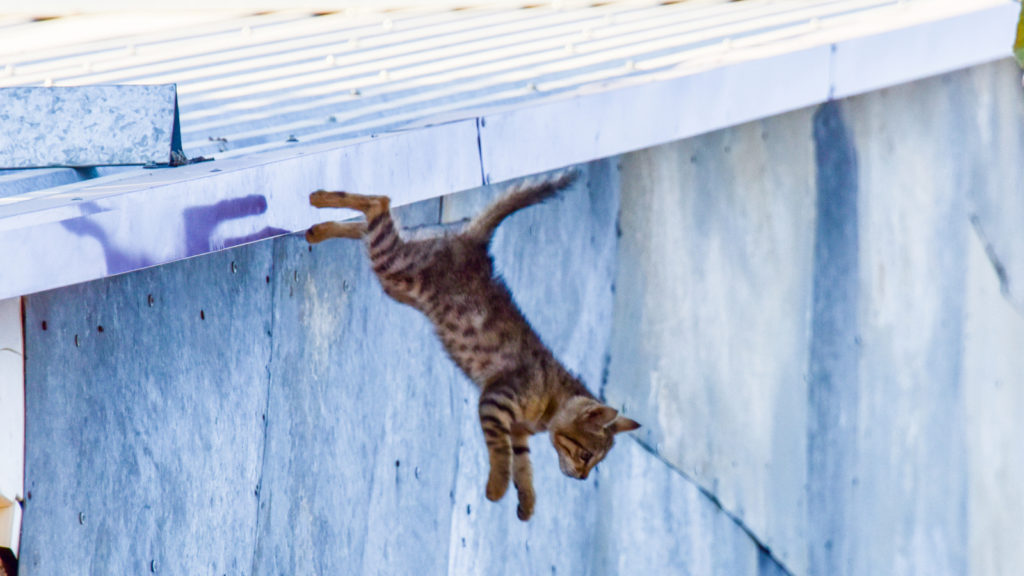 3 Power Automate Error Handling Patterns You Must Know