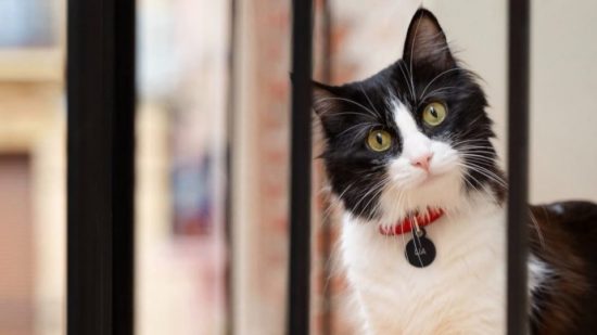 25 Power Apps IF Function Examples