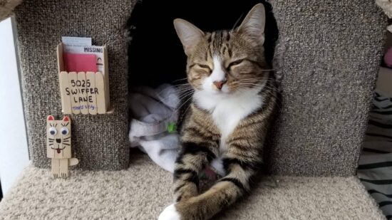 Fill-In An Excel Template With Power Automate