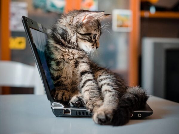 Matthew Devaney Page 3 Of 22 No Ads No Fluff Just Power Apps Stuff