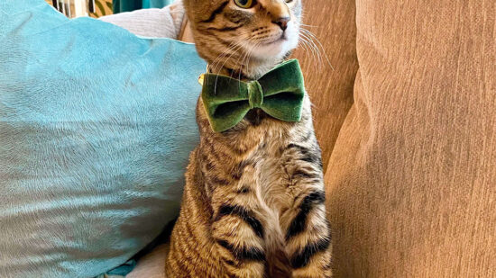 Power Automate Apply To Each Loops 20X Faster