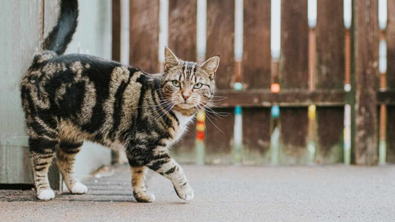 23 Power Apps Filter Function Examples For Sharepoint