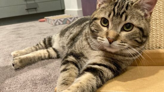 23 Power Apps Filter Function Examples For Sharepoint