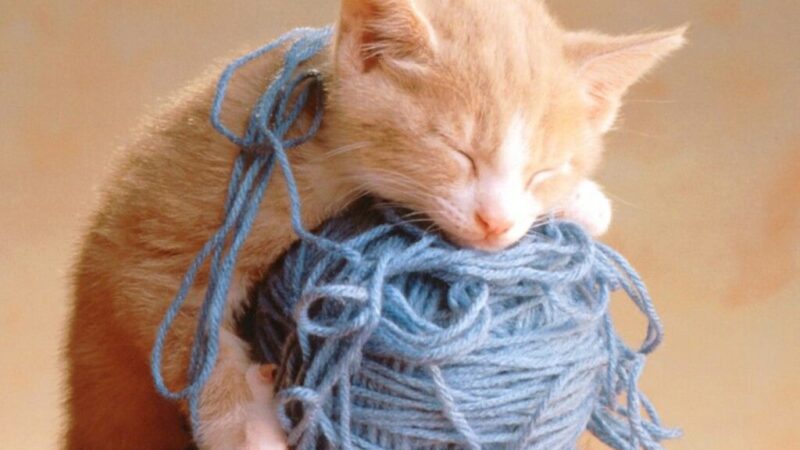 All Power Automate Text Functions (With Examples)