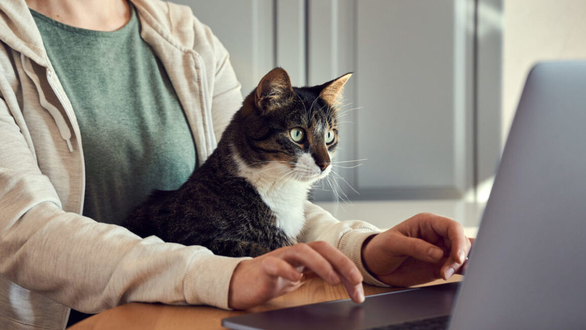 Make A Power Apps Approvals Form - Matthew Devaney