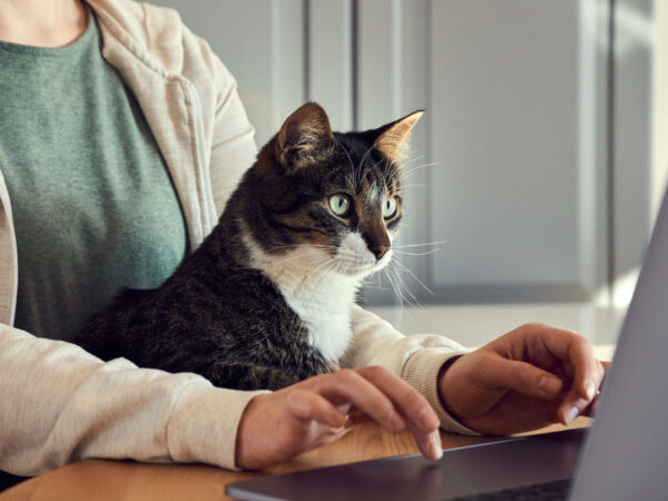 Matthew Devaney - No Ads, No Fluff, Just Power Apps Stuff