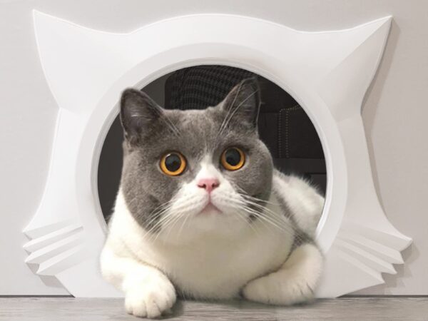 Matthew Devaney - No Ads, No Fluff, Just Power Apps Stuff