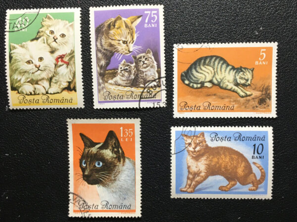 Matthew Devaney - No Ads, No Fluff, Just Power Apps Stuff