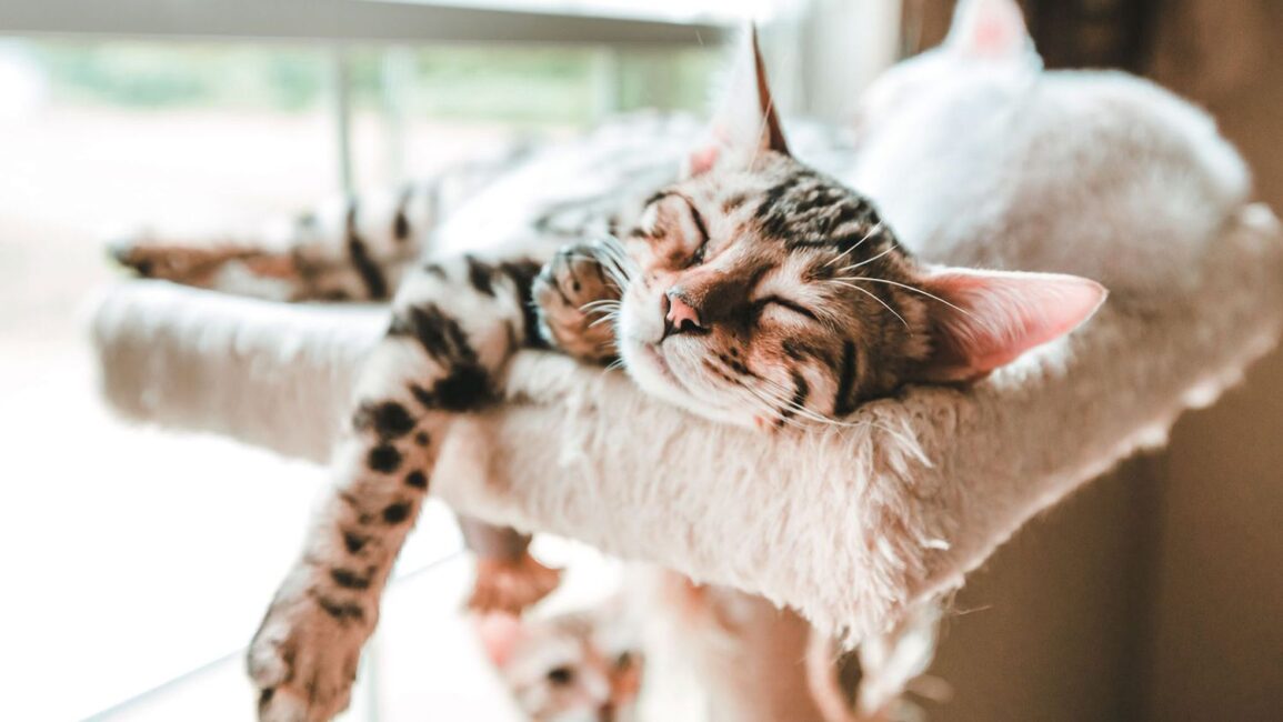 All Power Automate Text Functions With Examples