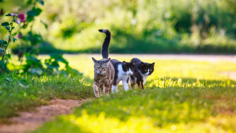 All Power Automate Text Functions (With Examples)