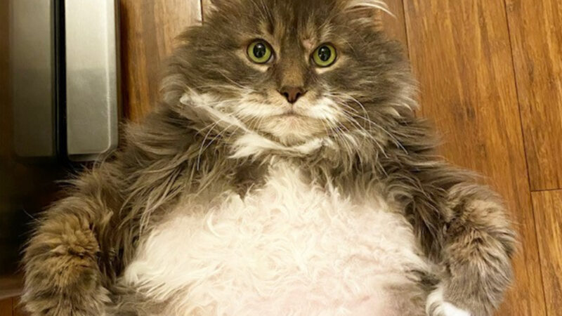 Extend A Power Automate Approval Over The 30 Day Limit