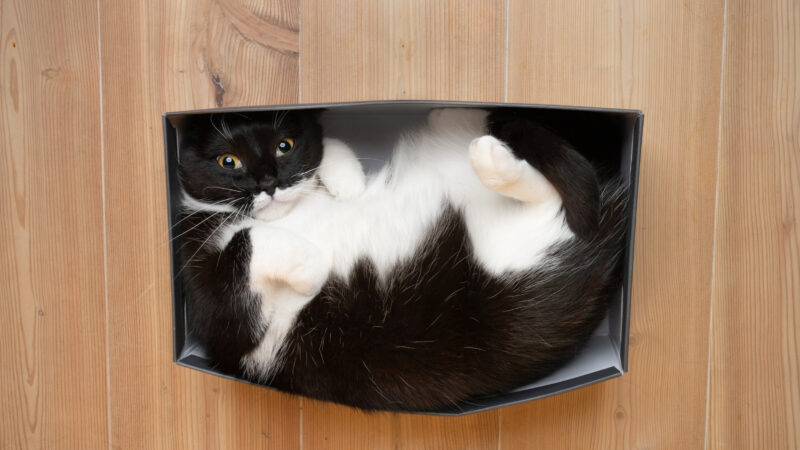 Power Automate Desktop Read And Filter Excel With Sql Query