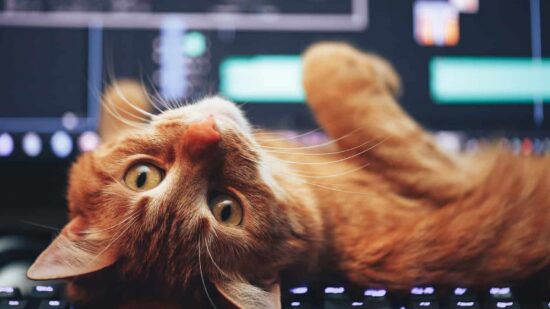 Power Automate Apply To Each Loops 20x Faster