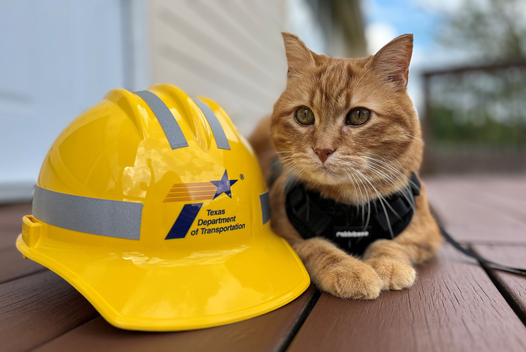 Start A New Azure DevOps Project - Matthew Devaney