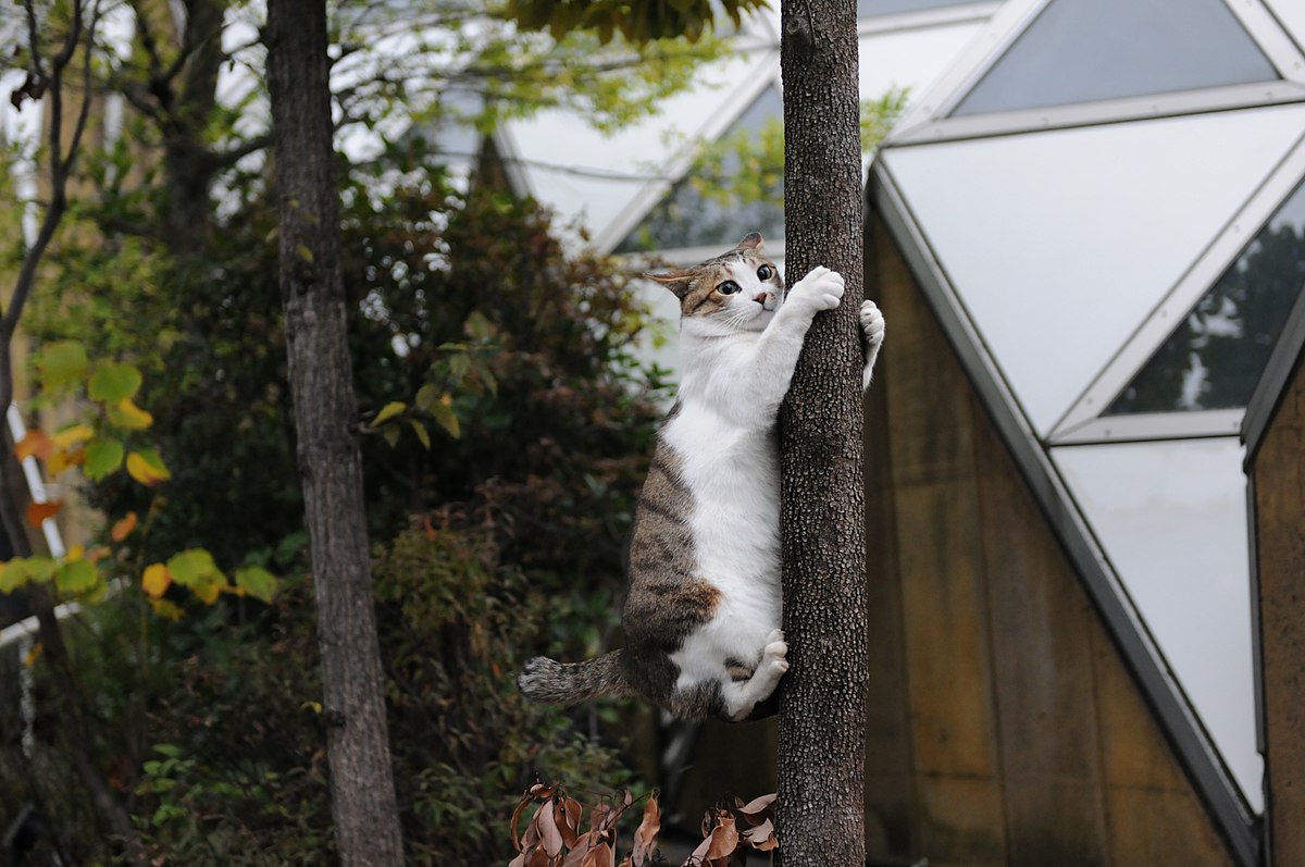 Redeploy A Past Solution Version To A Target Environment - Matthew Devaney