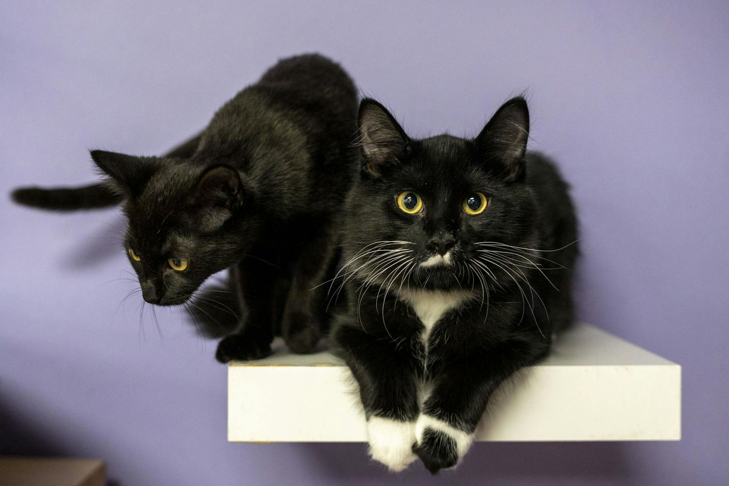 Power Automate Copy Files From Network Drive To SharePoint